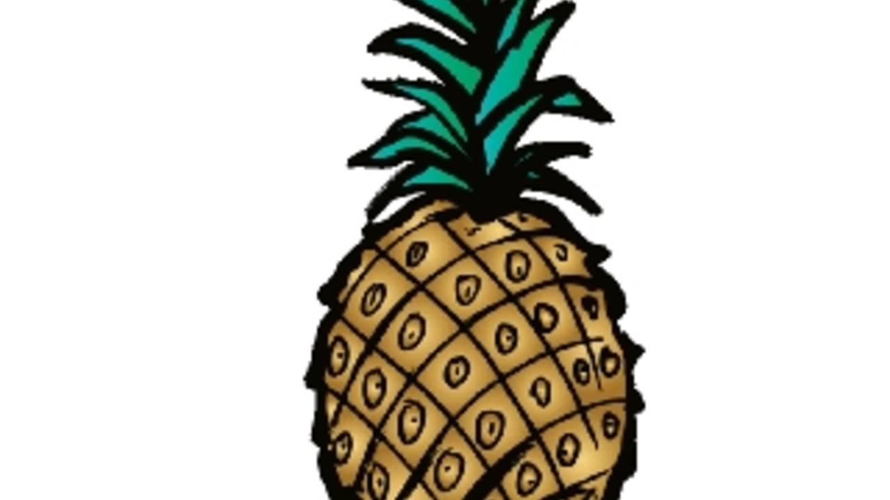 The Pineapple in the Museum
