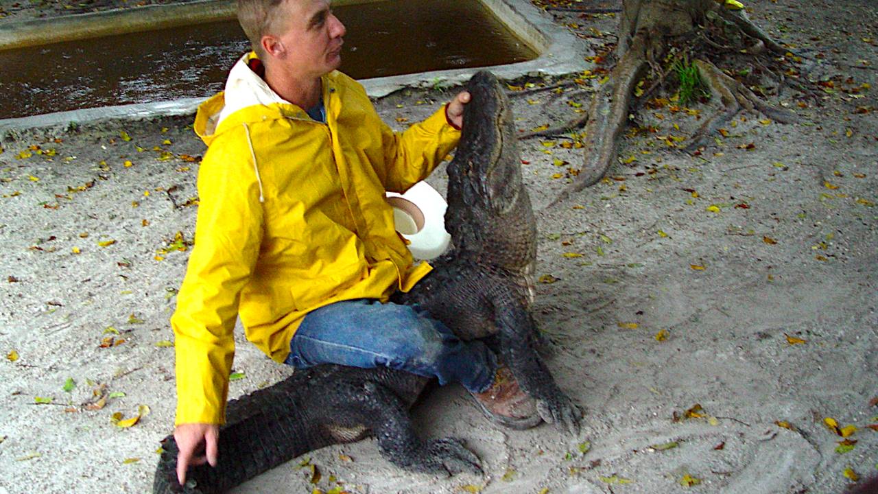 Throwback Thursday - The Florida Everglades