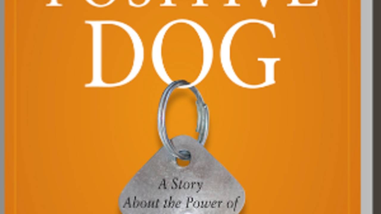 Day 5 Feeding the Positive Dog — Spend time with Positi