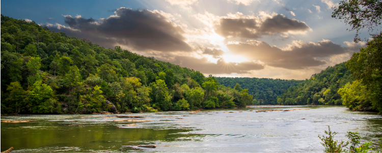 Your Complete Guide To Living In Milton, GA