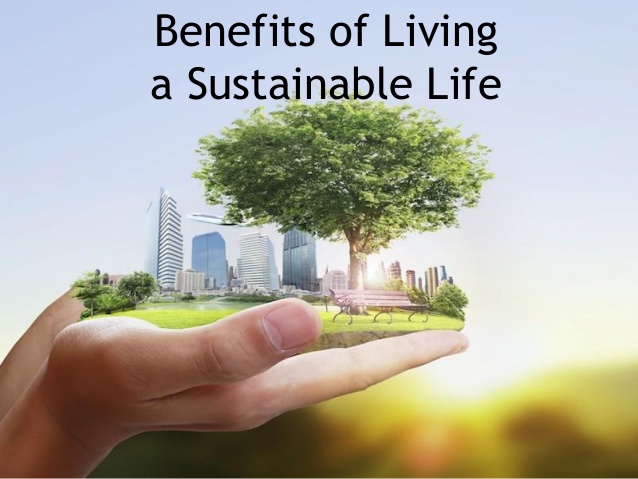 How to live a more sustainable life?