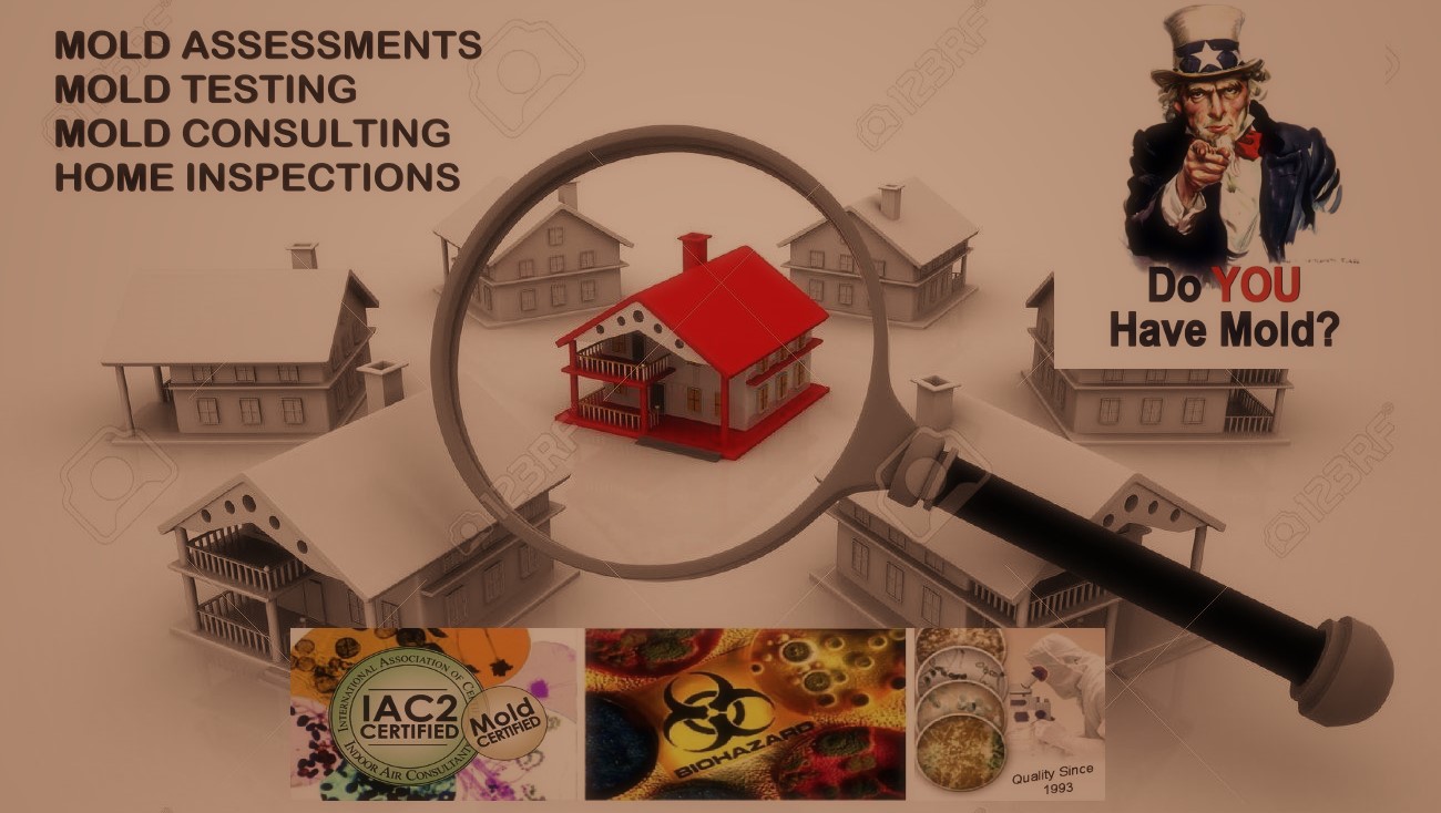 MOLD INSPECTIONS and MOLD EVALUATIONS The Villages