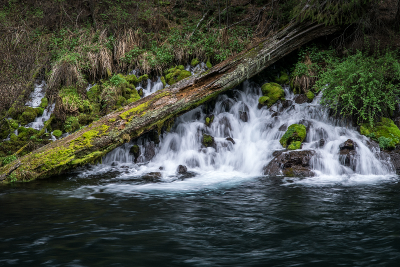 Metolius River Trail an Easy Central Oregon Hike