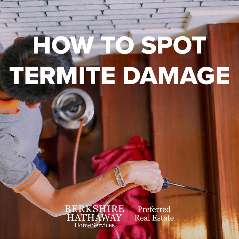 How to Spot Termite Damage