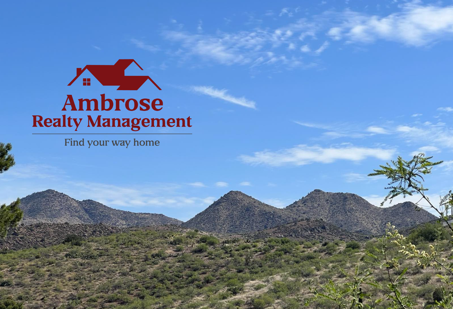 🤖AI in Brian's World