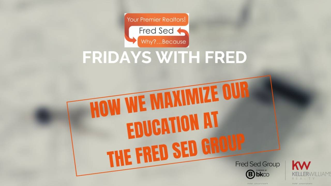 How We Maximize Education At The Fred Sed Group - Frida