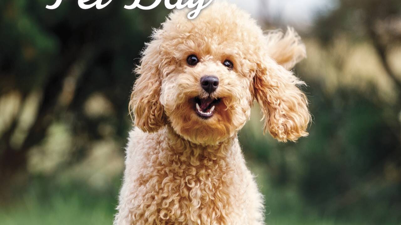 National Pet Day