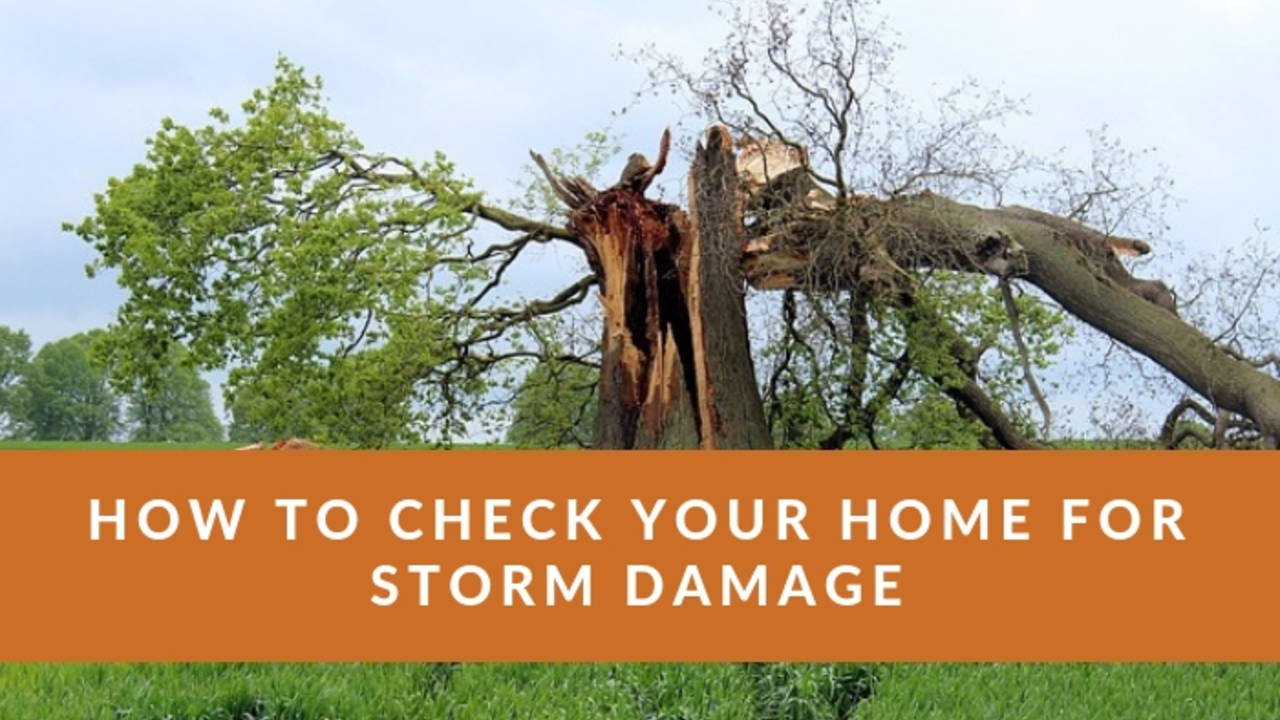 How to Check Your House for Storm Damage