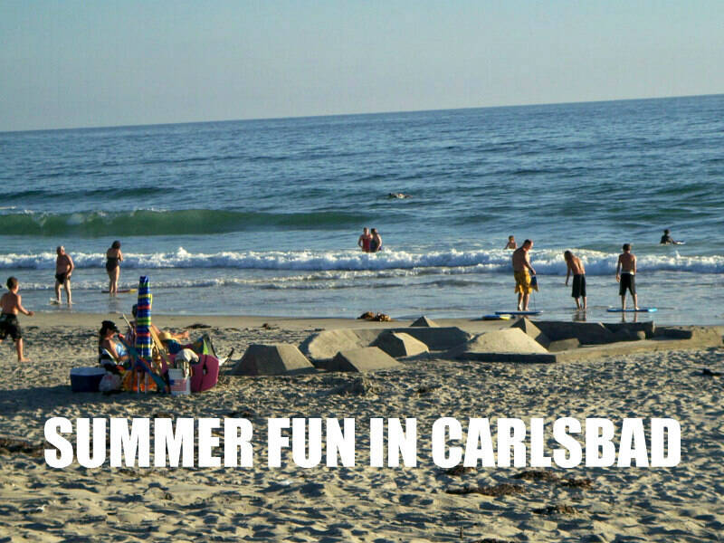 The 2025 Aloha Plunge is July 19 in Carlsbad