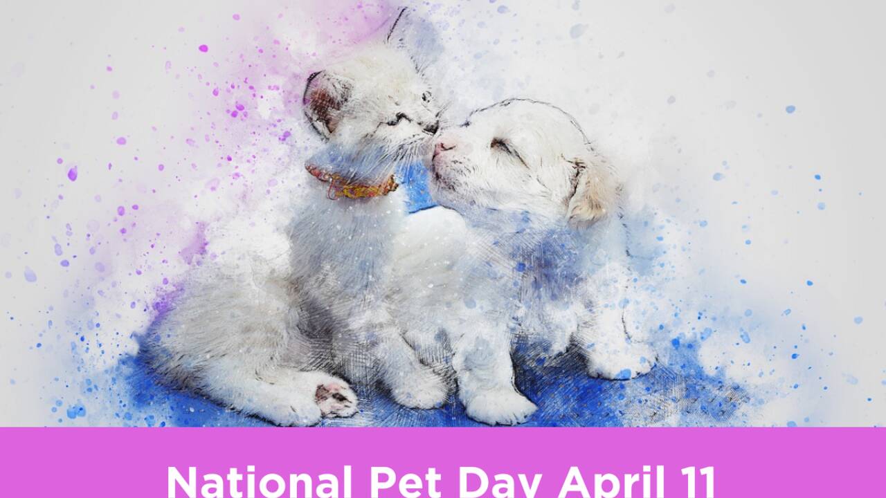 National Pet Day: Purr-fect Day To Celebrate Your Pets