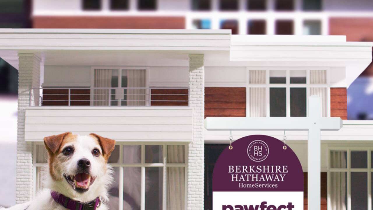 Pawfect Home Sweepstakes "Give Your Loving Pet the Pawf
