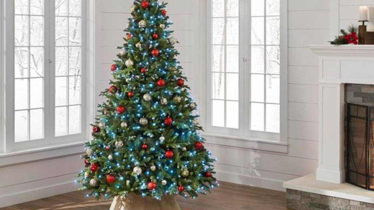 How to Have a Healthy Live Christmas Tree throughout Th