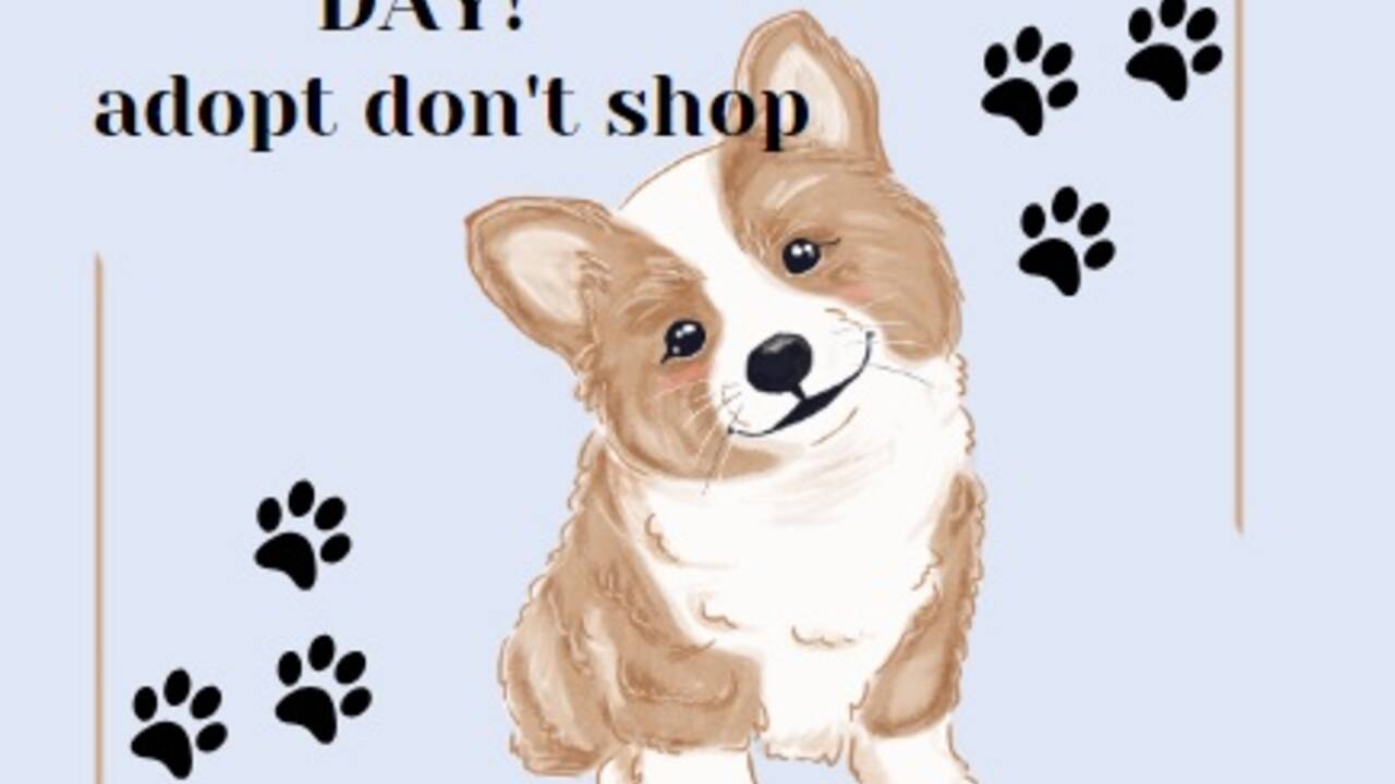 National Mutt Day: July 31. Mutts Are Pawsome!