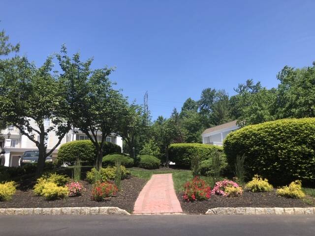 Sutton Woods, Chatham NJ May 2024 Update