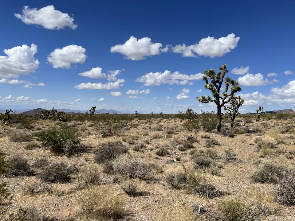 Not All Rural Land Specialists Are the Same