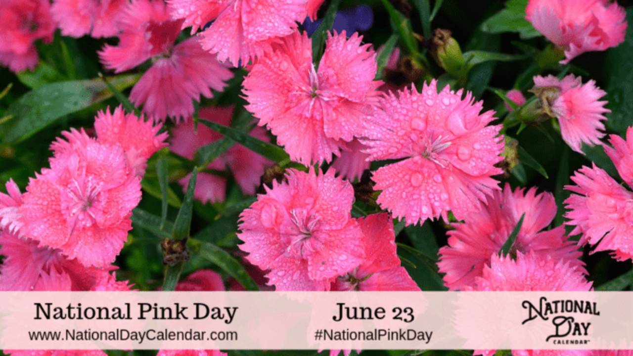 June 23 is National Pink Day! Wear Pink with Pride!