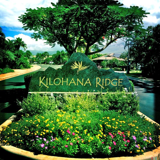Kilohana Ridge, Keawakapu Views - market update June 20